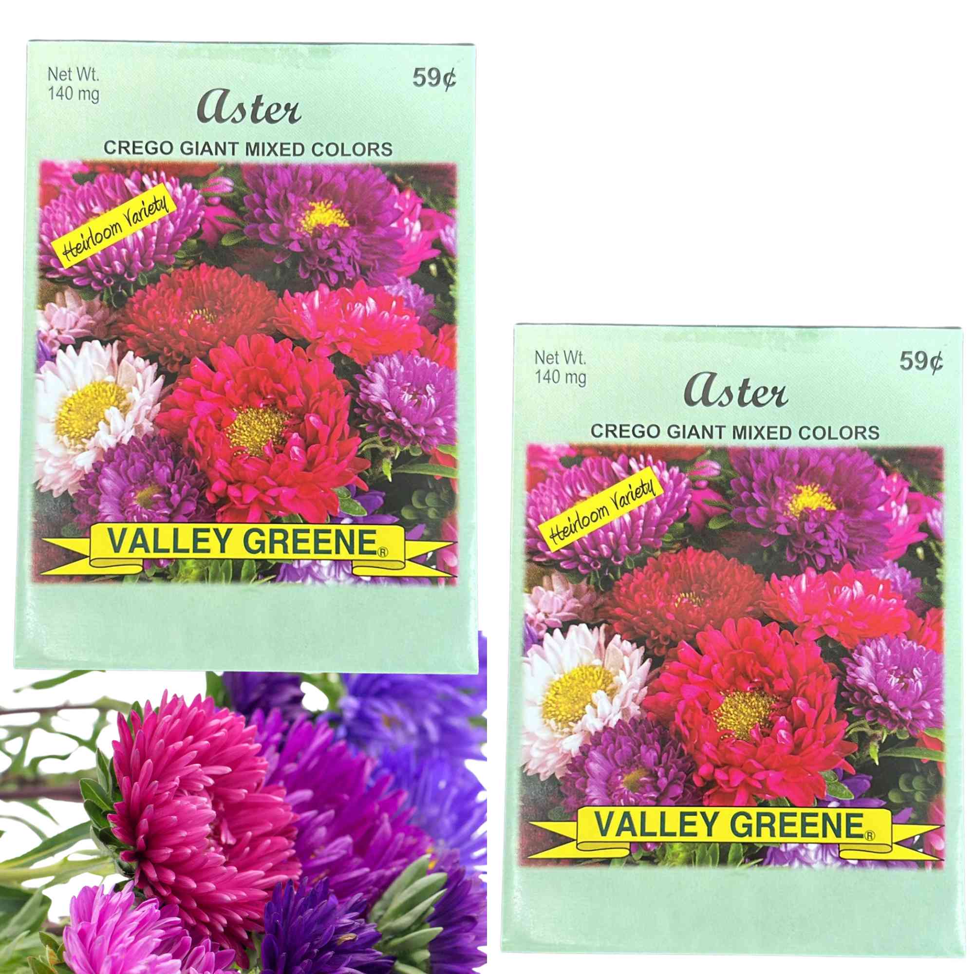 Valley Greene 140mg Aster Crego Giant Mixed Colors :2CT – 99Everything