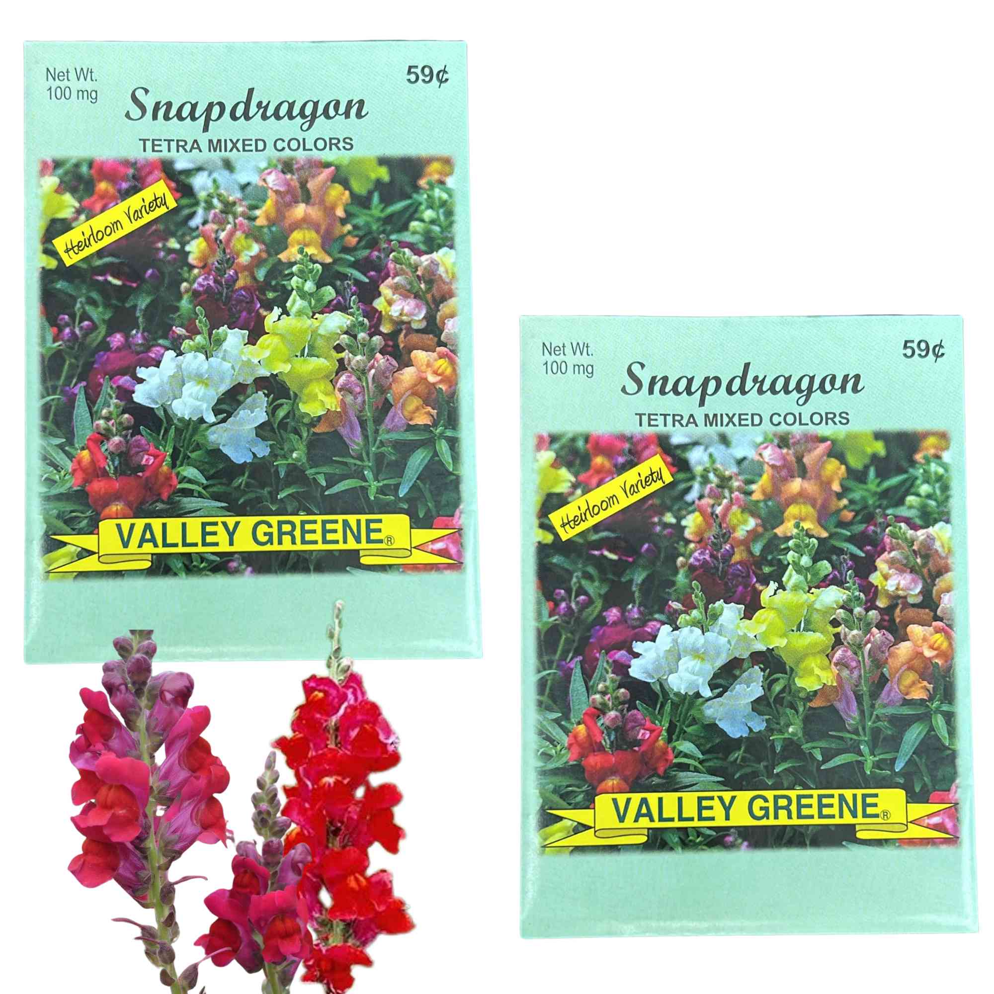 Valley Greene 100mg Snapdragon Tetra Mixed Colors Seeds: 2 Pack ...